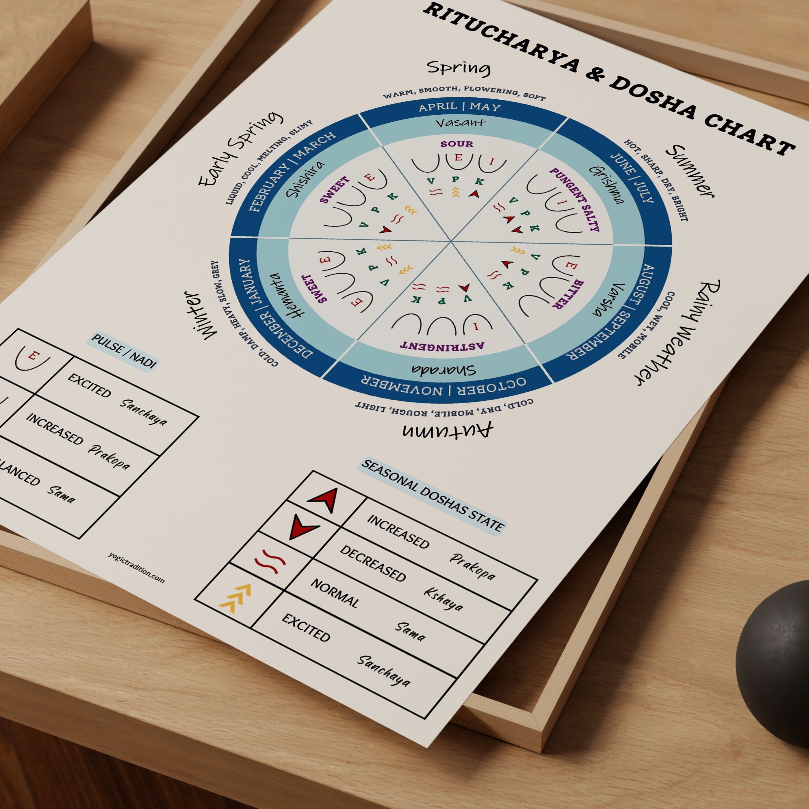 Ritucharya Seasons and Dosha Relation Chart Ayurveda Infographic Poster ...