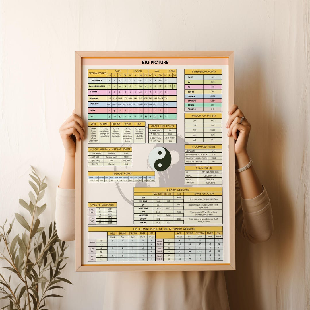 Chinese Medicine Big Picture Acupuncture Poster Chart, TCM Point ...