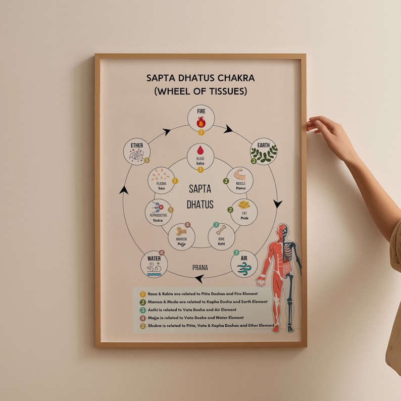 Ayurveda Sapta Dhatu Wheel Chart Poster 7 Dhatus Relation With 5 Elements Study Aid Guide ...