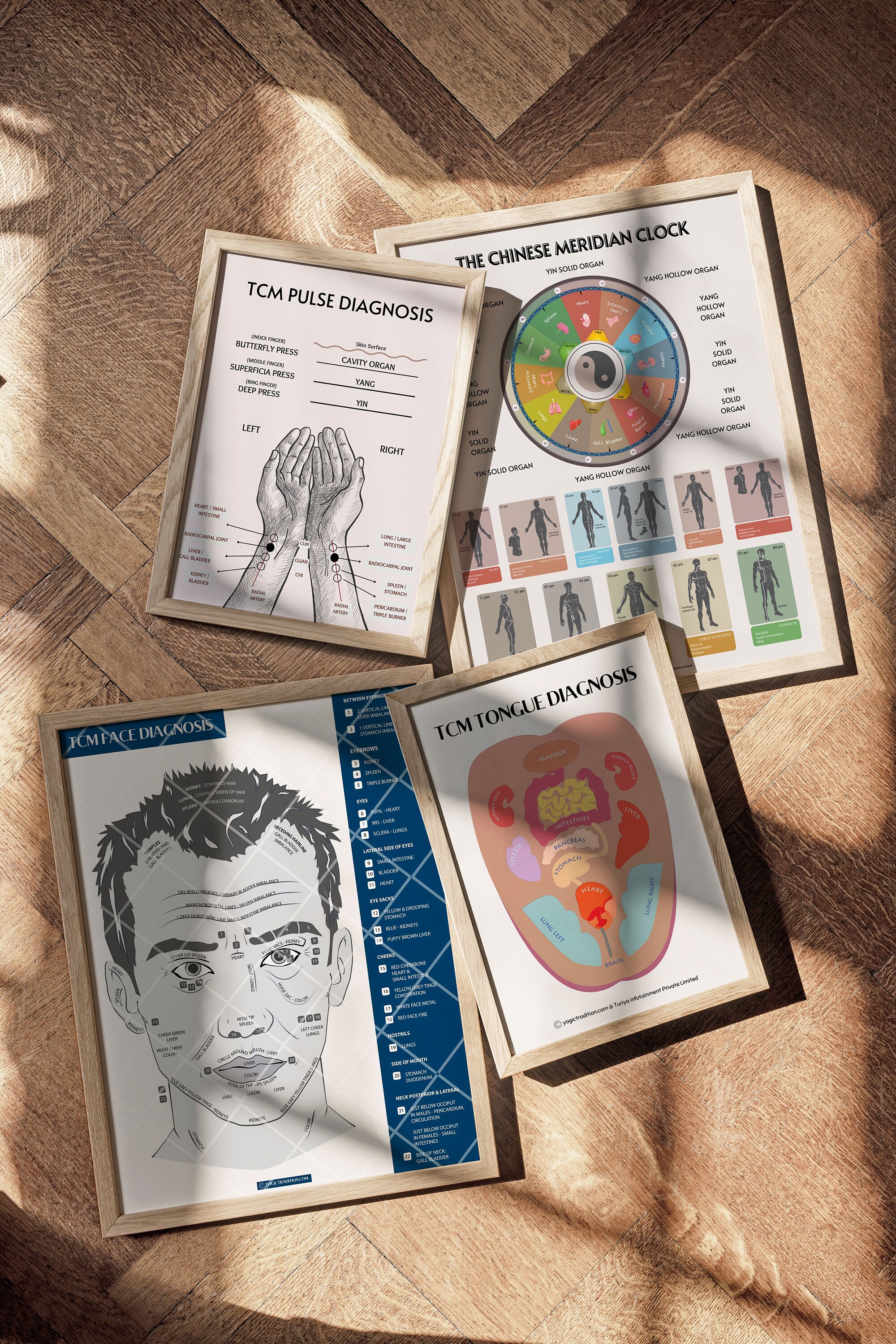 TCM Face Diagnosis Poster Book Planner Insert, TCM Chart, Traditional ...