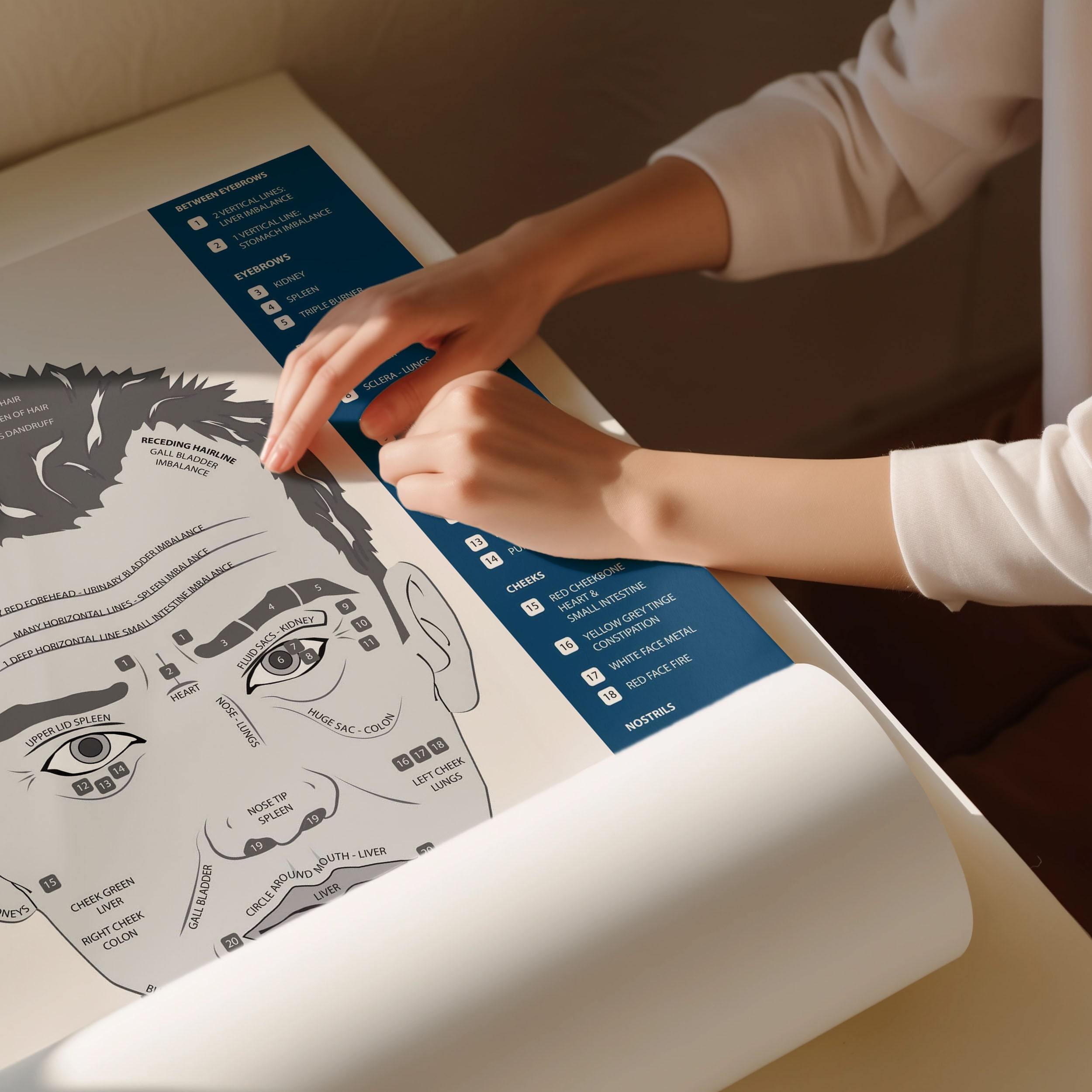 TCM Face Diagnosis Poster + Book Planner Insert, TCM Chart, Traditional ...