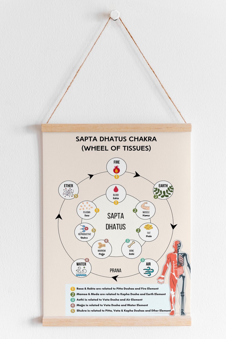 Ayurveda Sapta Dhatu Wheel Chart Poster 7 Dhatus Relation With 5 ...