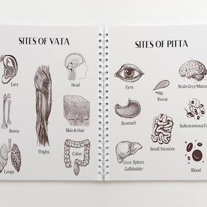 Set of 3 Sites of Vata Pitta Kapha Dosha Ayurveda Posters + Book ...