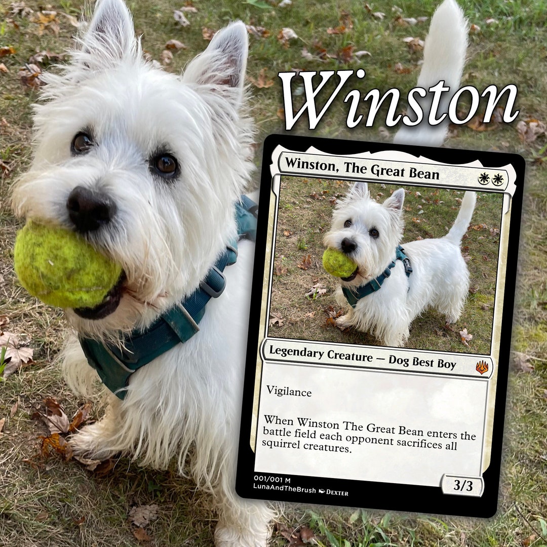You/your Pet Into a digital Custom MTG Card use Your Own Picture, Magic ...