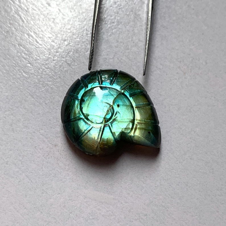 Natural Labradorite Spiral Shell Gemstone for Jewelry Making (27x23x9mm ...