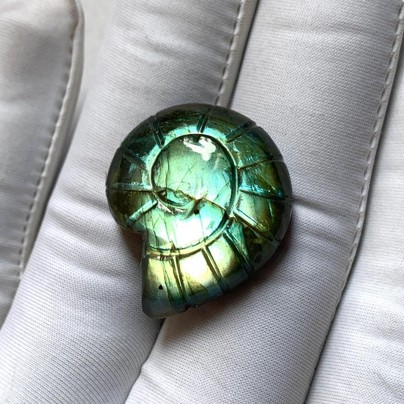 Natural Labradorite Spiral Shell Gemstone for Jewelry Making (27x23x9mm ...