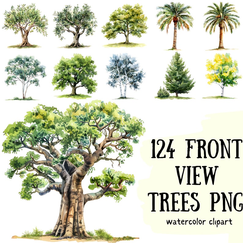 124 Trees Front View, Watercolor Style Vector Trees, PNG Trees Bundle ...