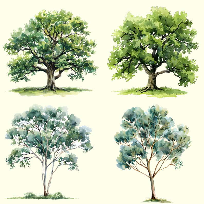 124 Trees Front View, Watercolor Style Vector Trees, PNG Trees Bundle ...