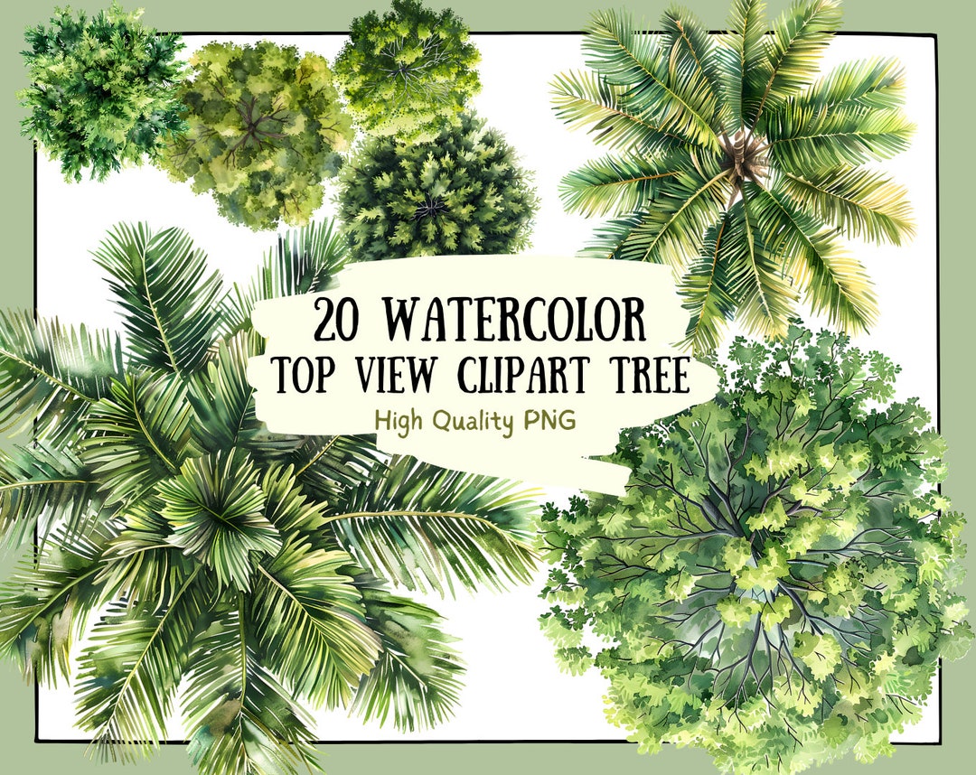 Watercolor Tree Clipart: Top View PNG, PSD (20 Trees) - Etsy
