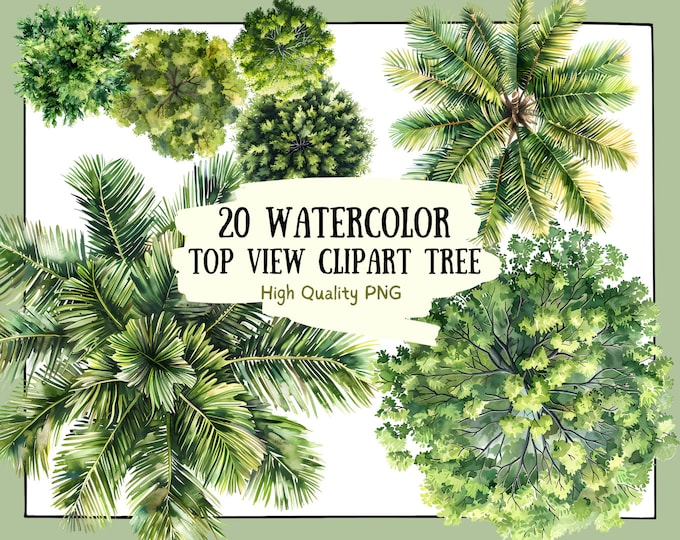 Landscape Tree Planarchitectural Illustration Tree Plan View PNG/PSD ...