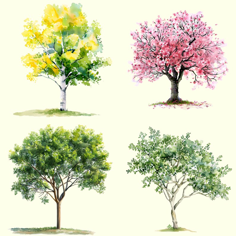 124 Trees Front View, Watercolor Style Vector Trees, PNG Trees Bundle ...