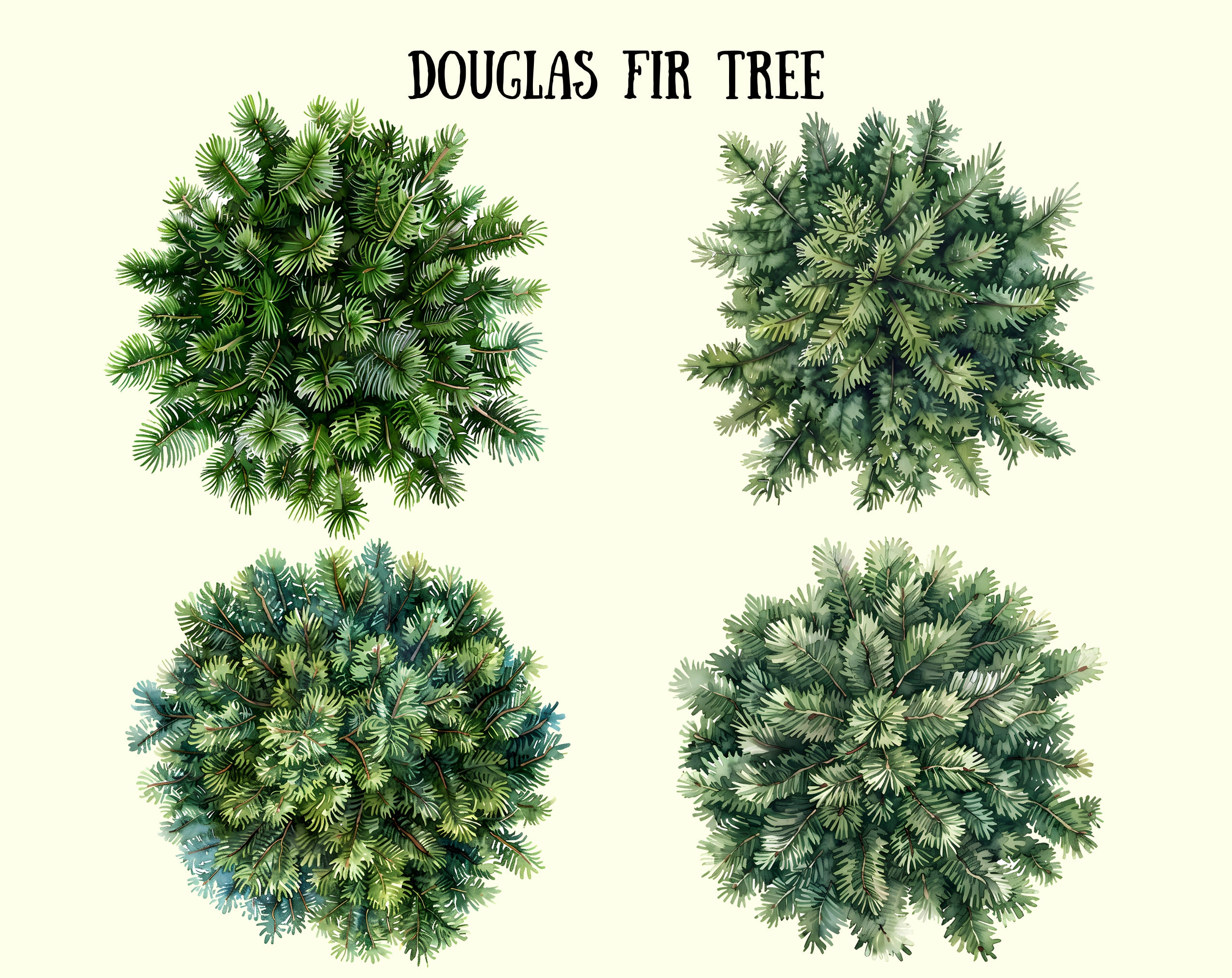 20 Trees Top View, Watercolor Style Vector Trees, PNG Trees Bundle ...