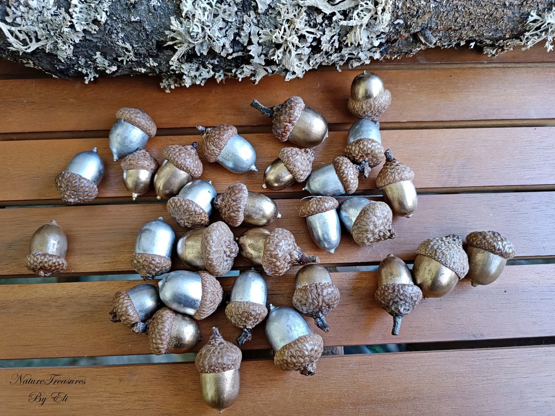 20 Pieces Acorns With Hats Mixed Silver Gold Painted, Wreaths Crafts ...