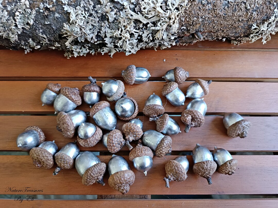 Acorns With Hats Silver Painted, 20 Pcs Wreaths Crafts Ornament ...