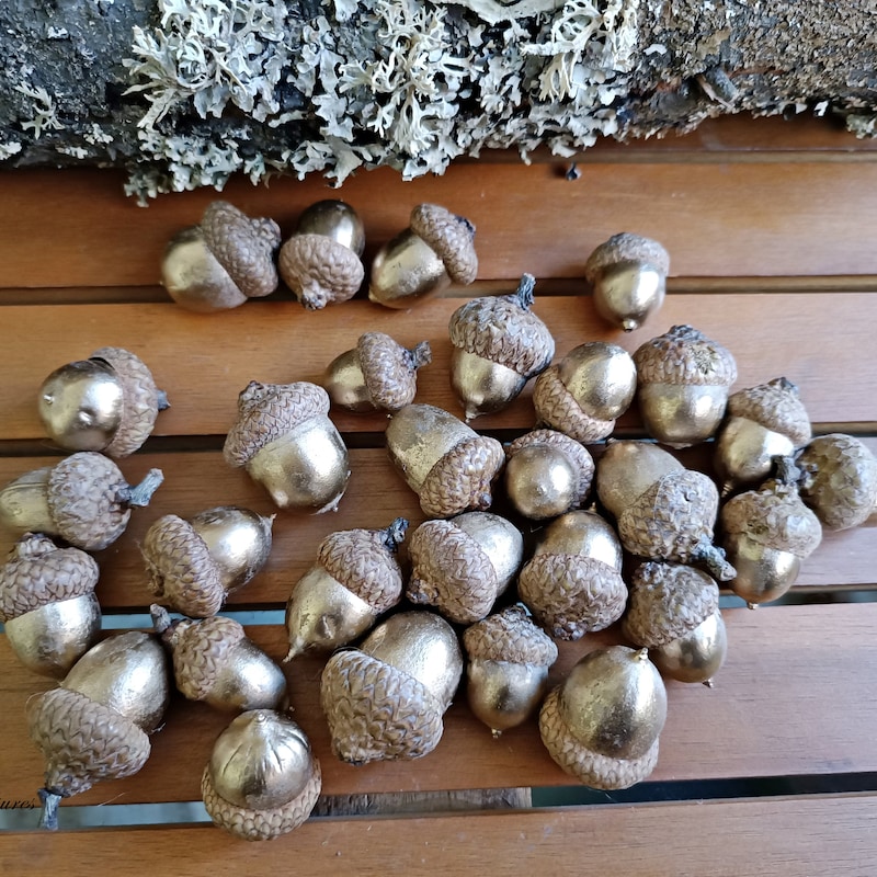 Acorn Decor - Etsy