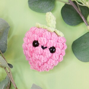 Riley the Happy Raspberry, Plushie, Amigurumi Crochet Pattern, Digital ...