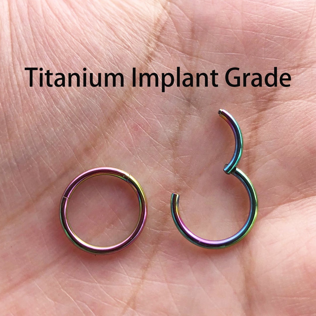 Rainbow Implant Grade Titanium Multi Colored HINGED Segment Nose Ring ...