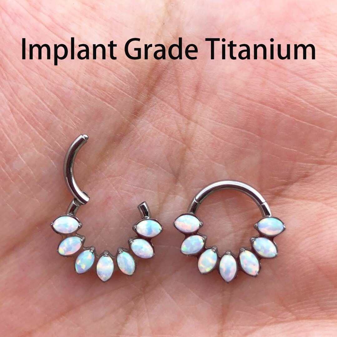 16g Fire Snow Opal Implant Grade Titanium Hinged Segment Hoop Ring ...