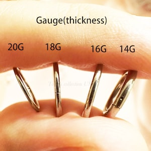 Implant Grade Solid Titanium HINGED Segment Nose Ring Septum Clicker Ring Daith Hoop 20G 18G 16G ...