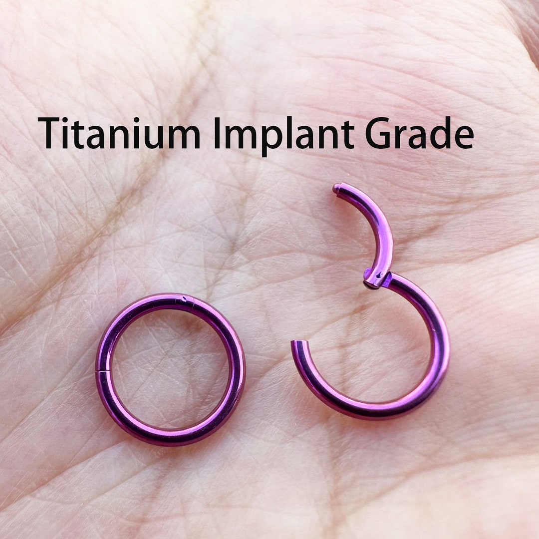Purple Color Titanium Implant Grade HINGED Segment Nose Ring Septum ...
