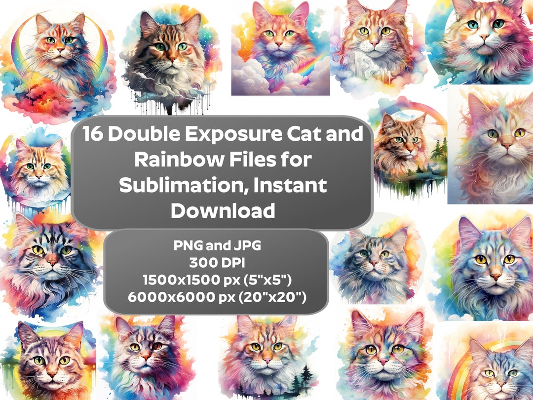 16 Double Exposure Cat and Rainbow PNG JPG Digital Downloads Instant ...