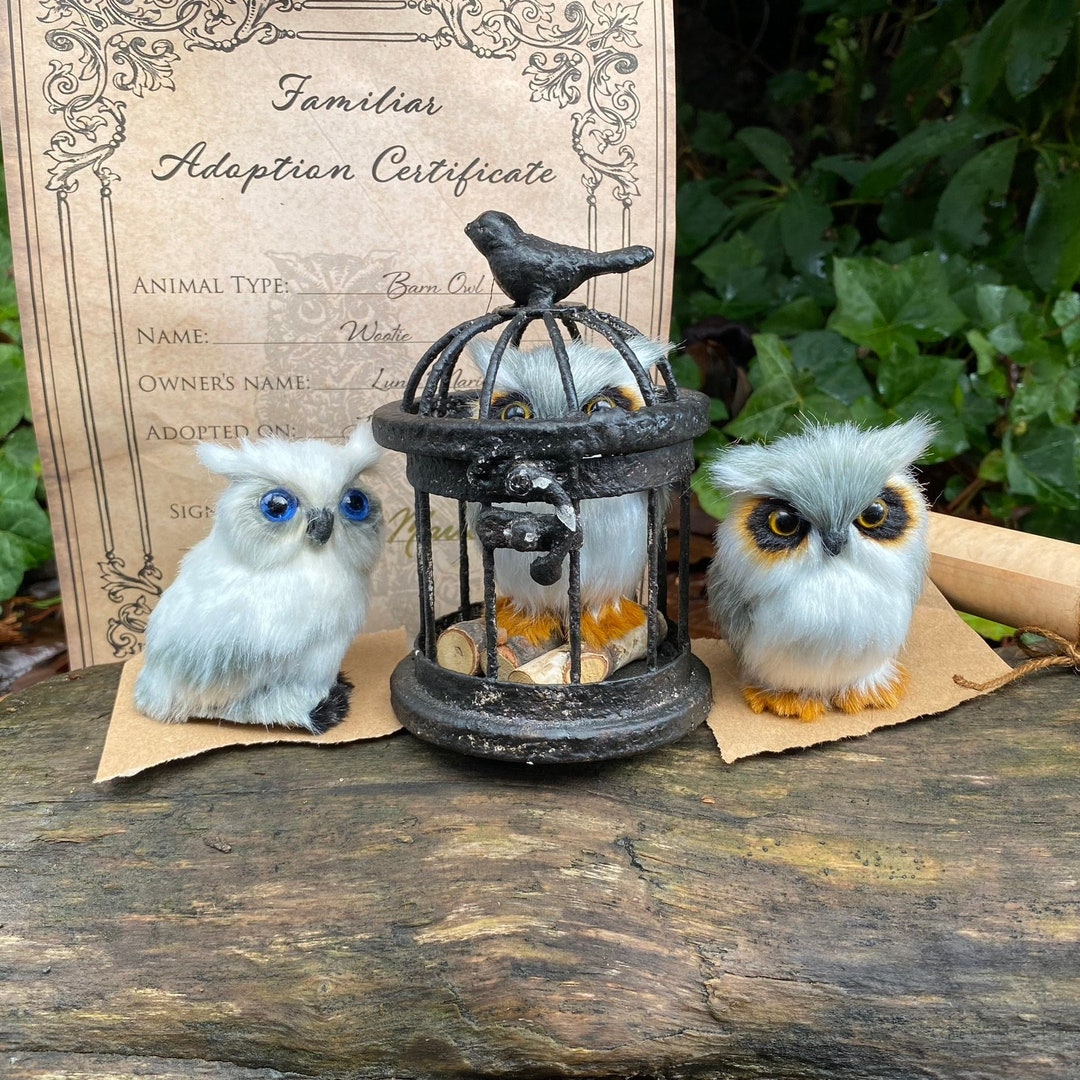 Owl Familiar Adoptions Witchy Decor Magical Apothecary Decoration Witch ...