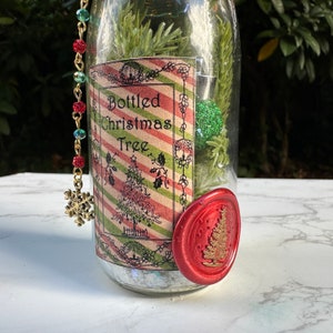 Bottled Christmas Tree | Magical Apothecary Potion Bottle | Witch and ...
