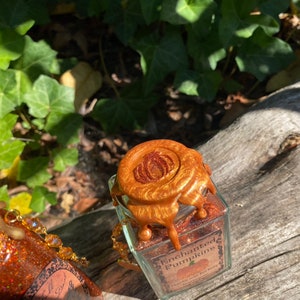 Fall Fairy Set | Autumn Potion Bottle | Halloween Decorative Potion ...