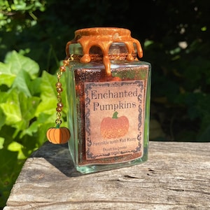 Enchanted Pumpkins | Decorative Potion Bottle | Autumn Fall Decor | Pumpkin Halloween ...