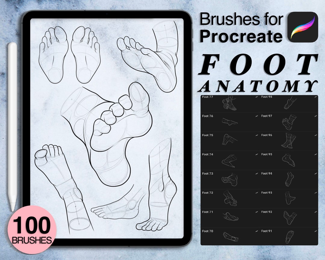 100 Foots Anatomy Procreate Brush Set | Foot Stamps | Save Your Time ...