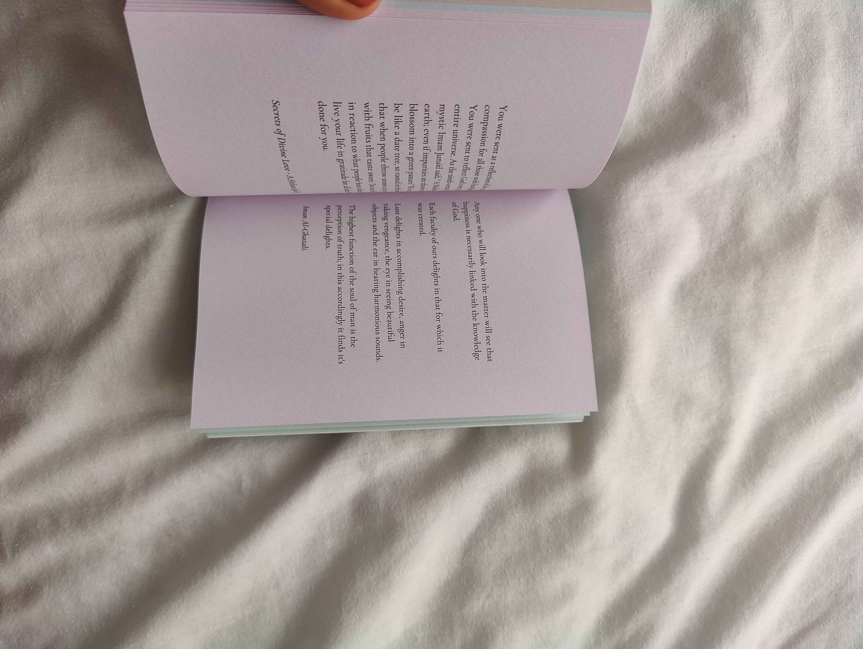 Little Book of Islamic Reminders: Direct From the Golden - Etsy Singapore