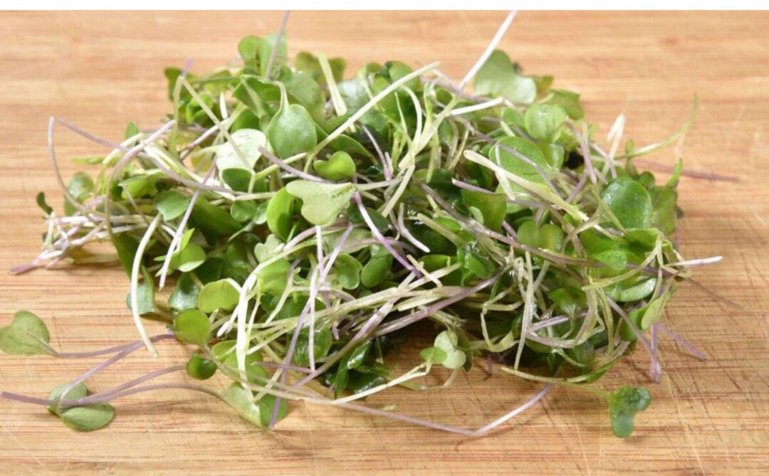 Spicy Microgreens Mix, Organic, Seeds - Etsy
