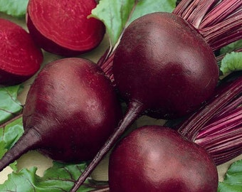 20 Beet Detroit Dark Red Seeds Delicious and Easy to Grow Plant USA ...