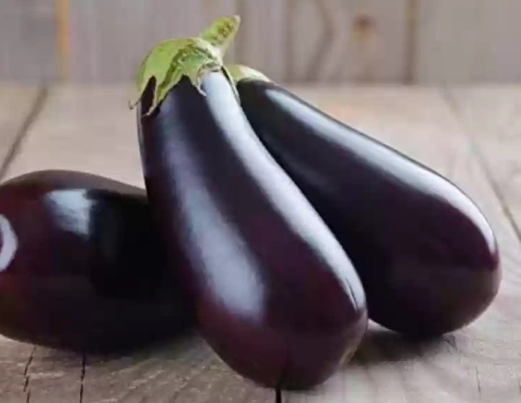 Diamond Eggplant Seeds, Organic Seed - Etsy
