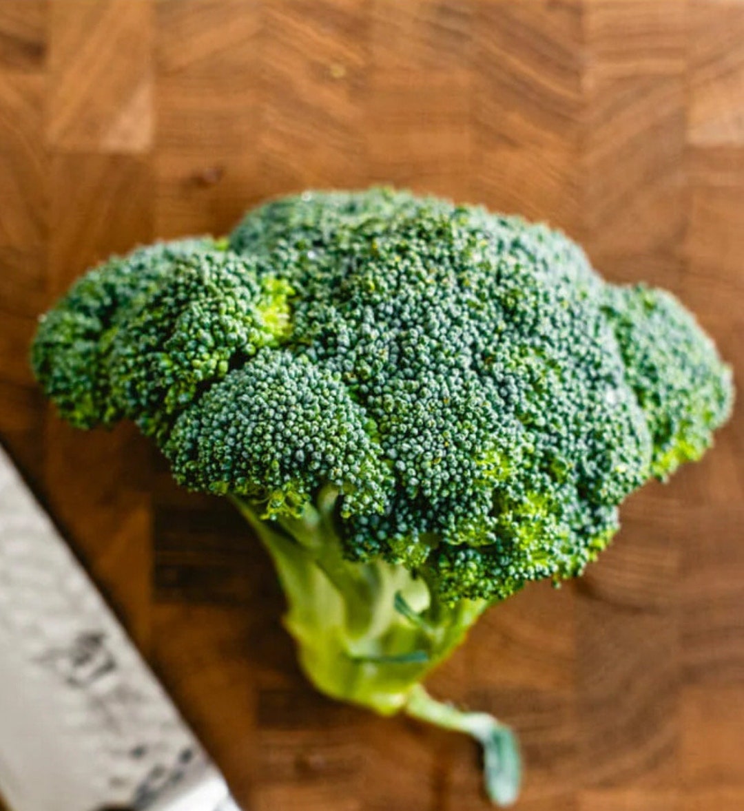 Green Magic Broccoli Seeds, - Etsy