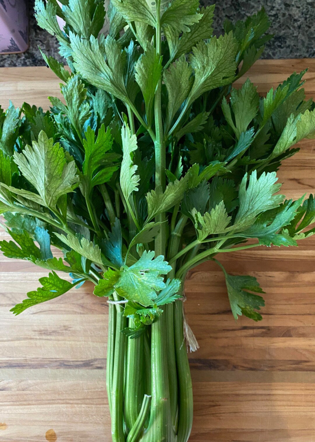 Tango Celery Seed, Pelleted, Organic Seeds - Etsy