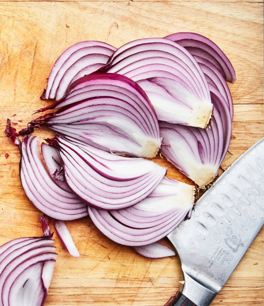 Red Wing Onion Seeds, Pelleted, Long Day, Organic - Etsy
