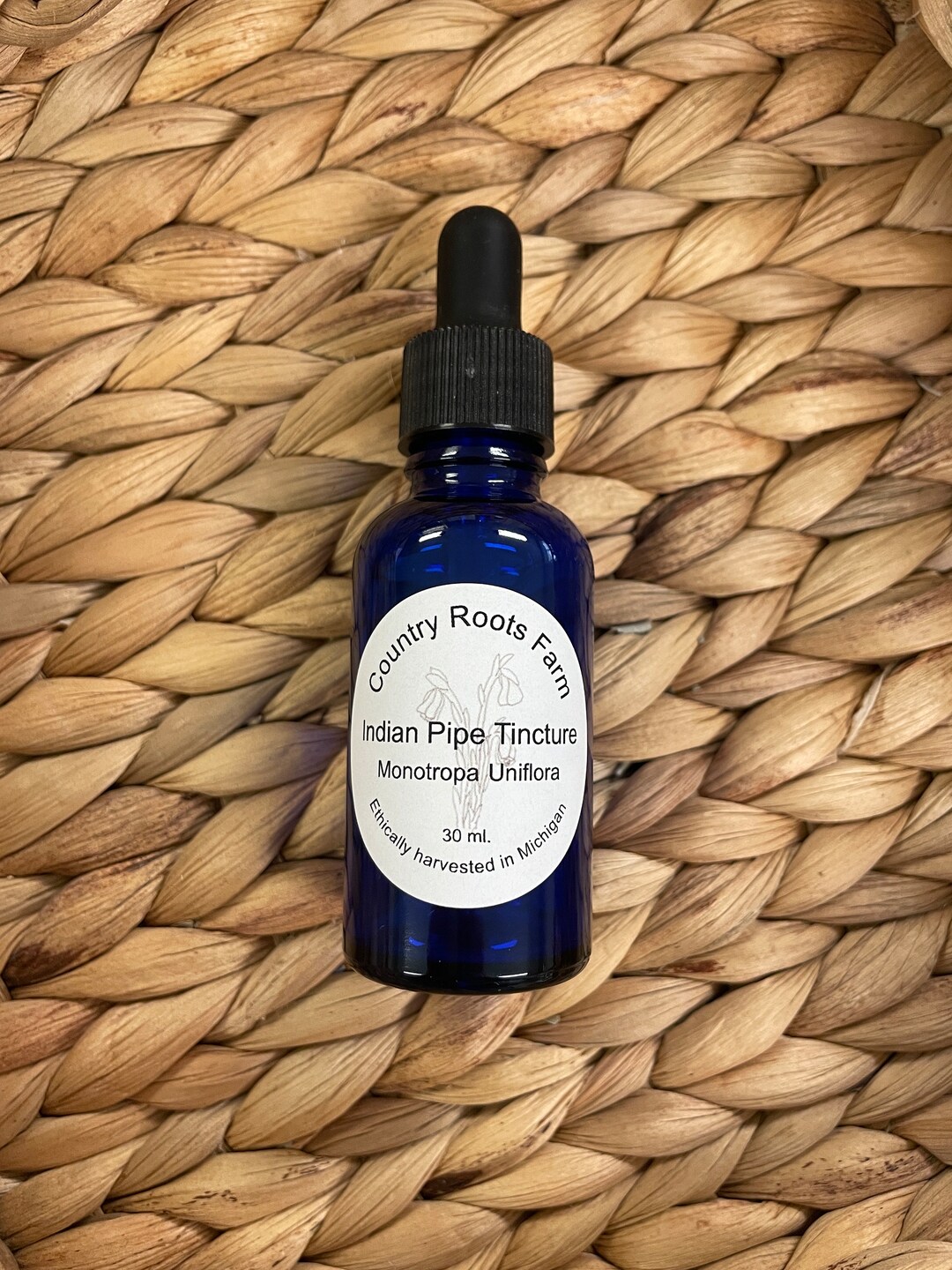 Indian Pipe, Ghost Pipe Tincture, Monotropa Uniflora 1oz - Etsy