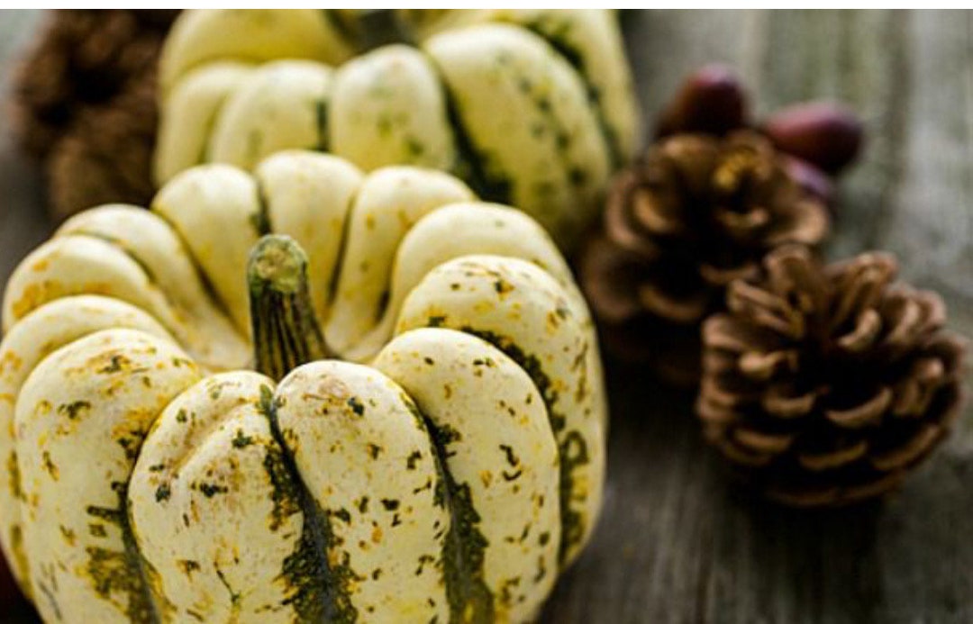 Sugar Dumpling Winter Squash Seeds, Organic - Etsy