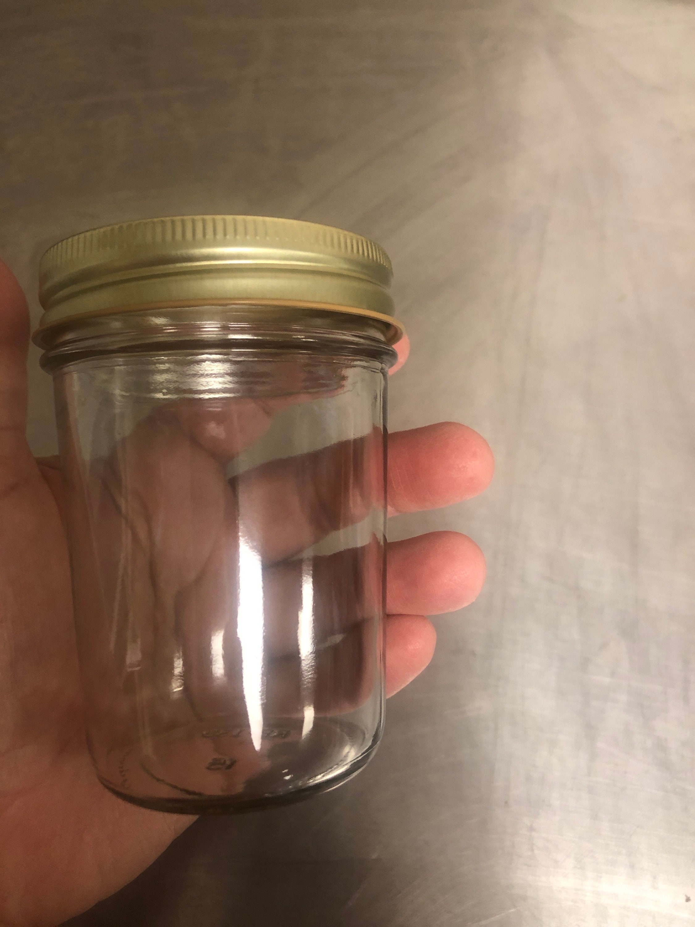 Case of 12 8 Oz New Jelly Jars With Lids - Etsy