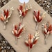 Burnt Orange Buttonhole | Orange Dried Flower Boutonniere | Autumn ...