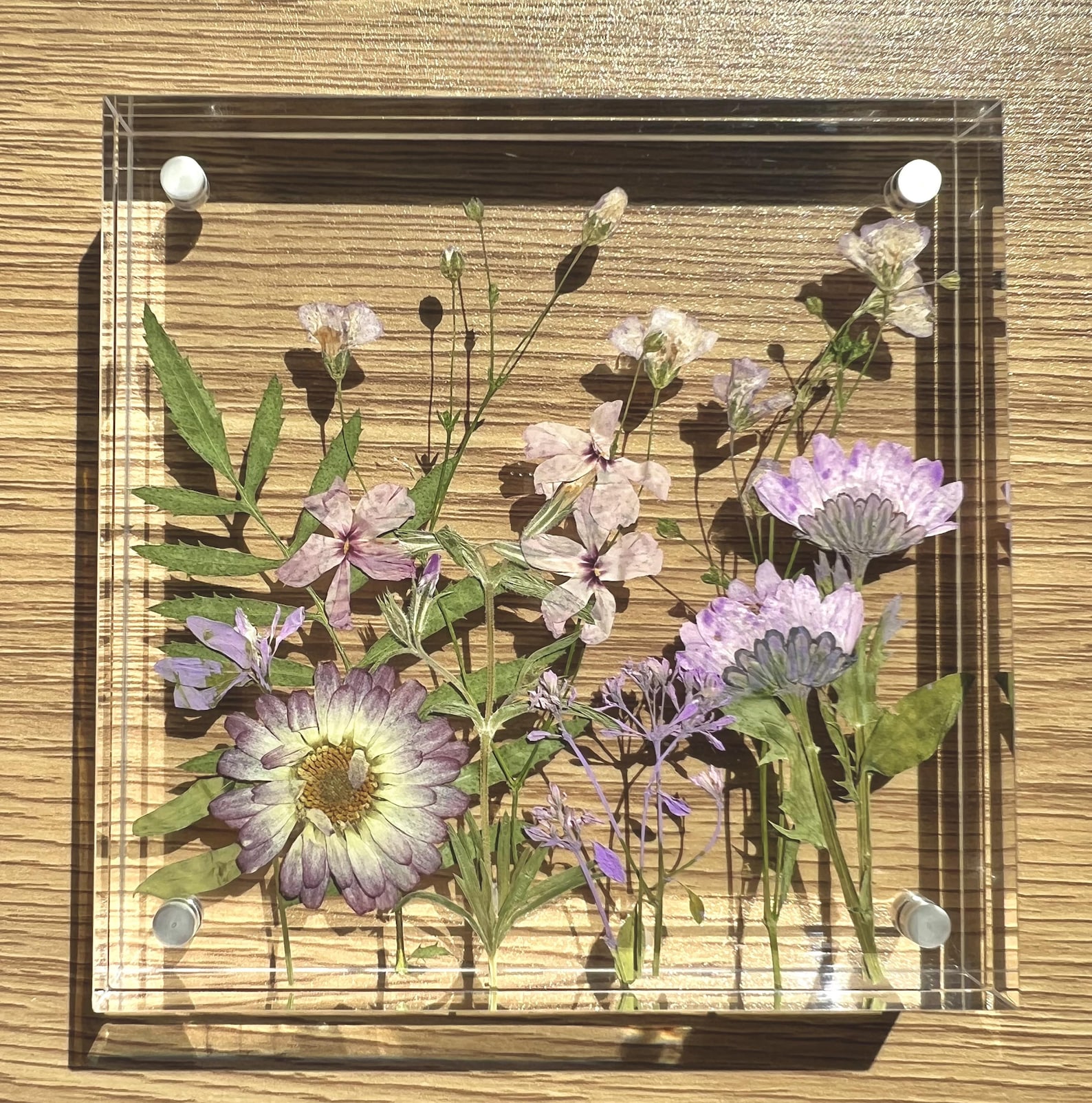 DIY Pressed Flower Art Kit: Acrylic Frame Shelf Decor - Etsy