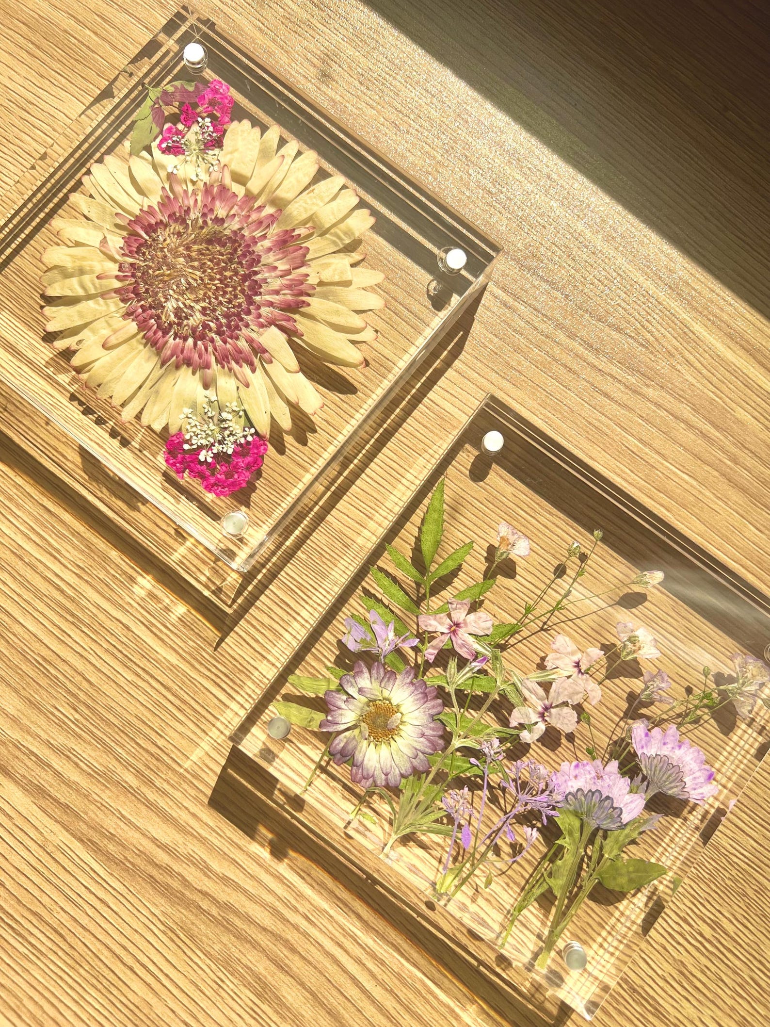 DIY Pressed Flower Art Kit: Acrylic Frame Shelf Decor - Etsy