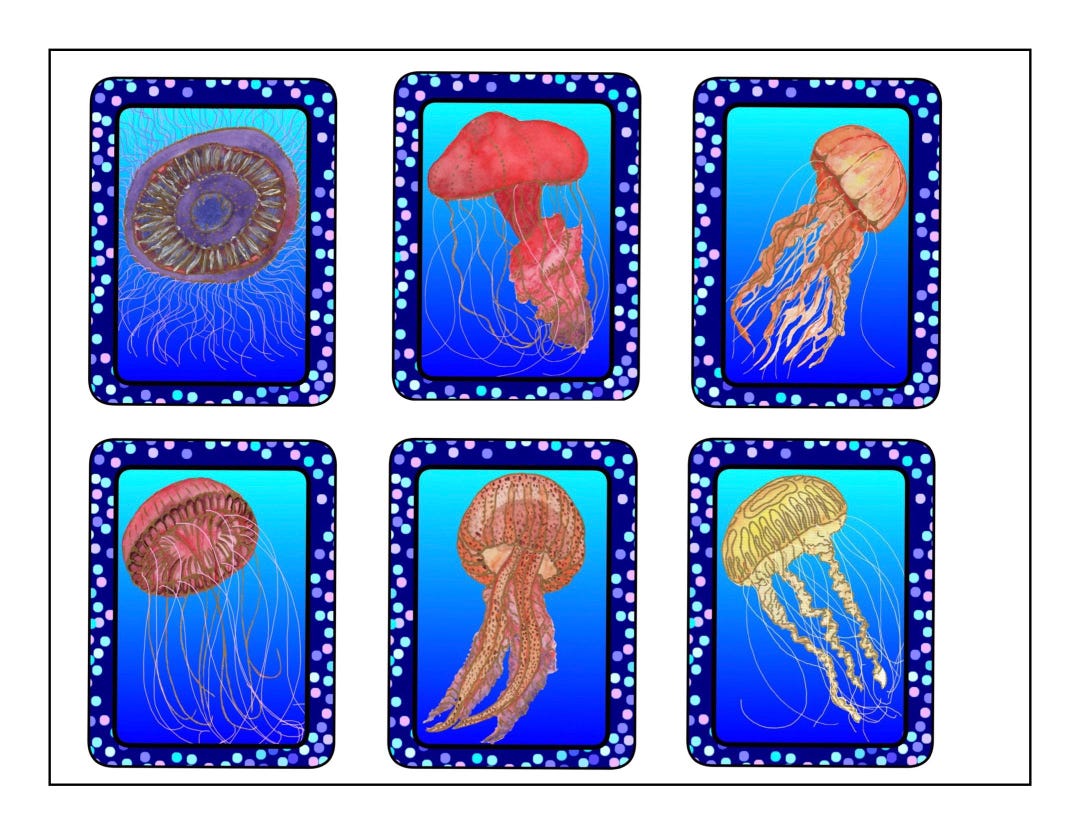 Jellyfish Memory Match Game - Etsy