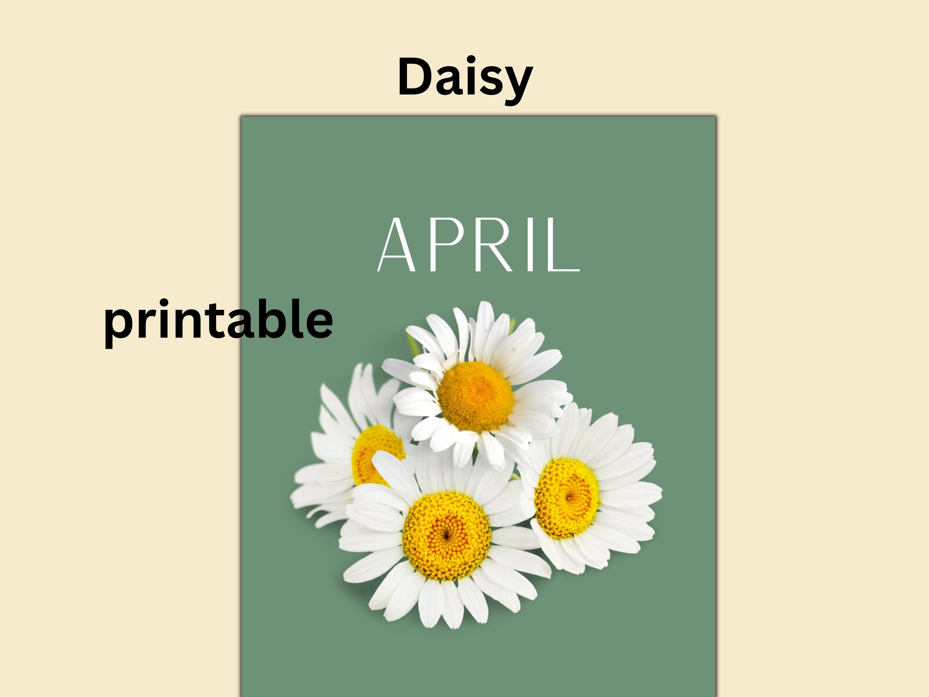 April Birth Month Flower Wall Art, Daisy Wall Art, Gift for Person Born ...