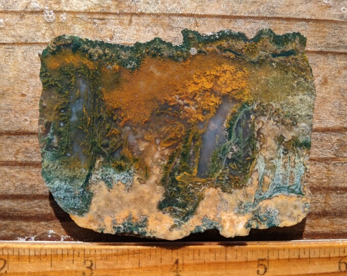 Texas Needle Peak Agate - Etsy