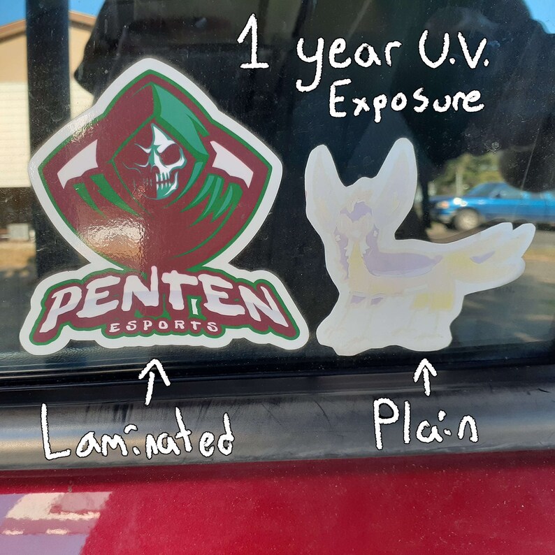 Angry Avali Vinyl Sticker - Etsy