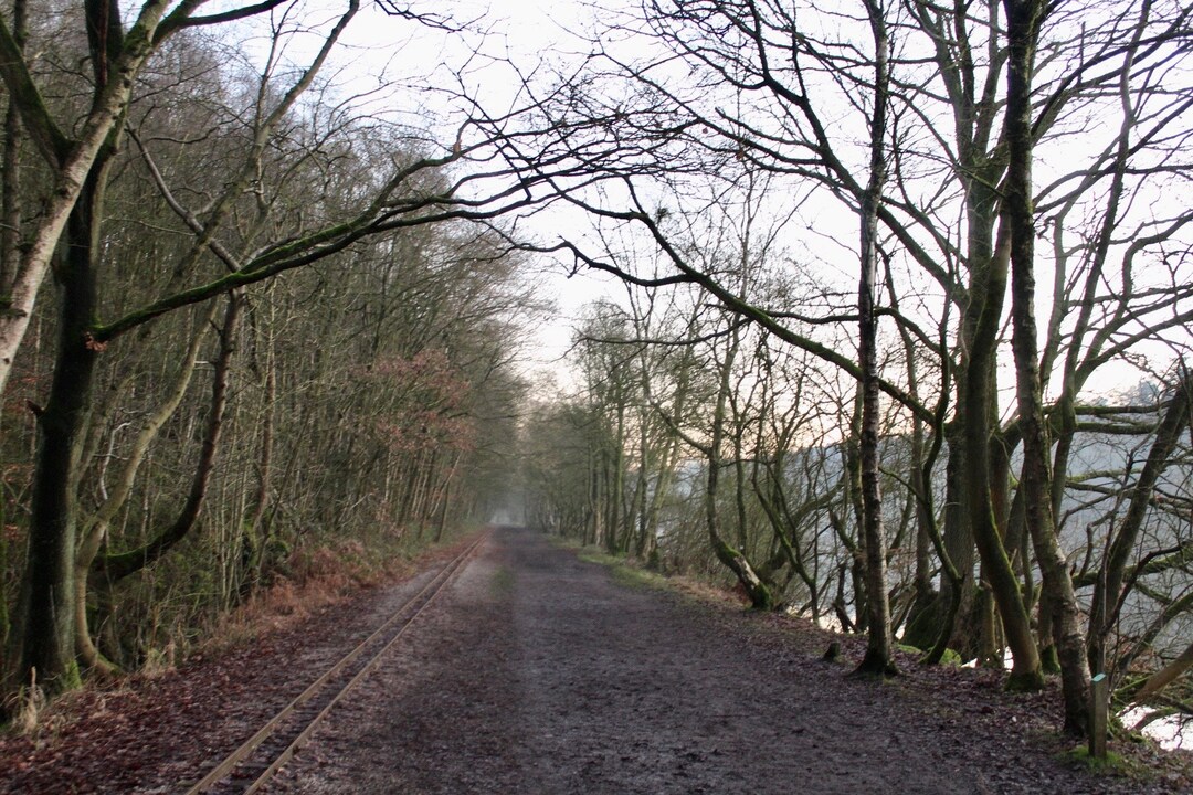 Lakeside Train Path Digital Download Unique Original Image Lake Trees ...