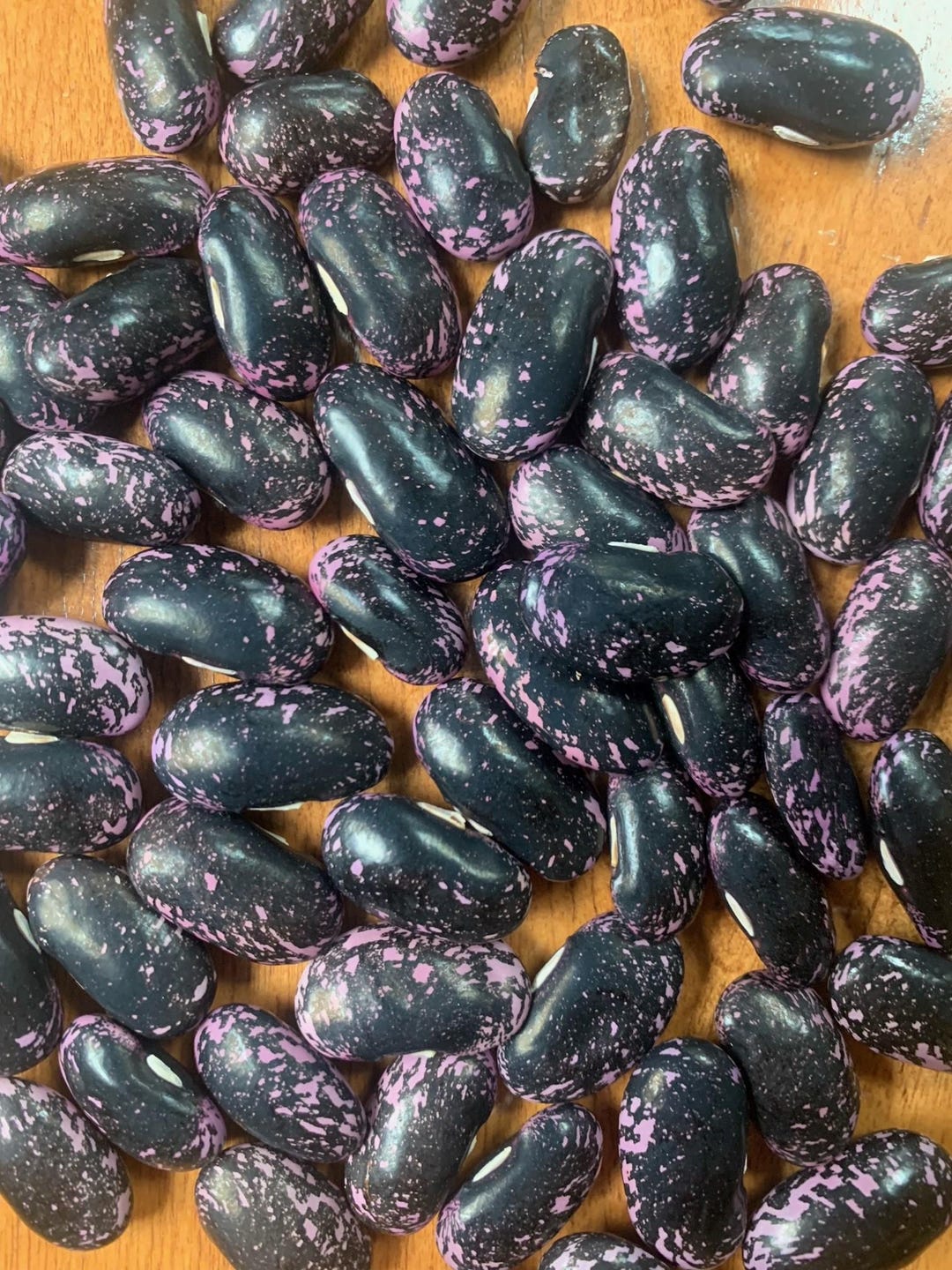Scarlet Runner Bean Seeds- Climbing Showy Bean - Etsy