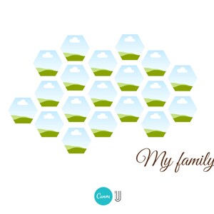 Custom Honeycombs Photo Collage Template,honey Comb Photo Frame ...